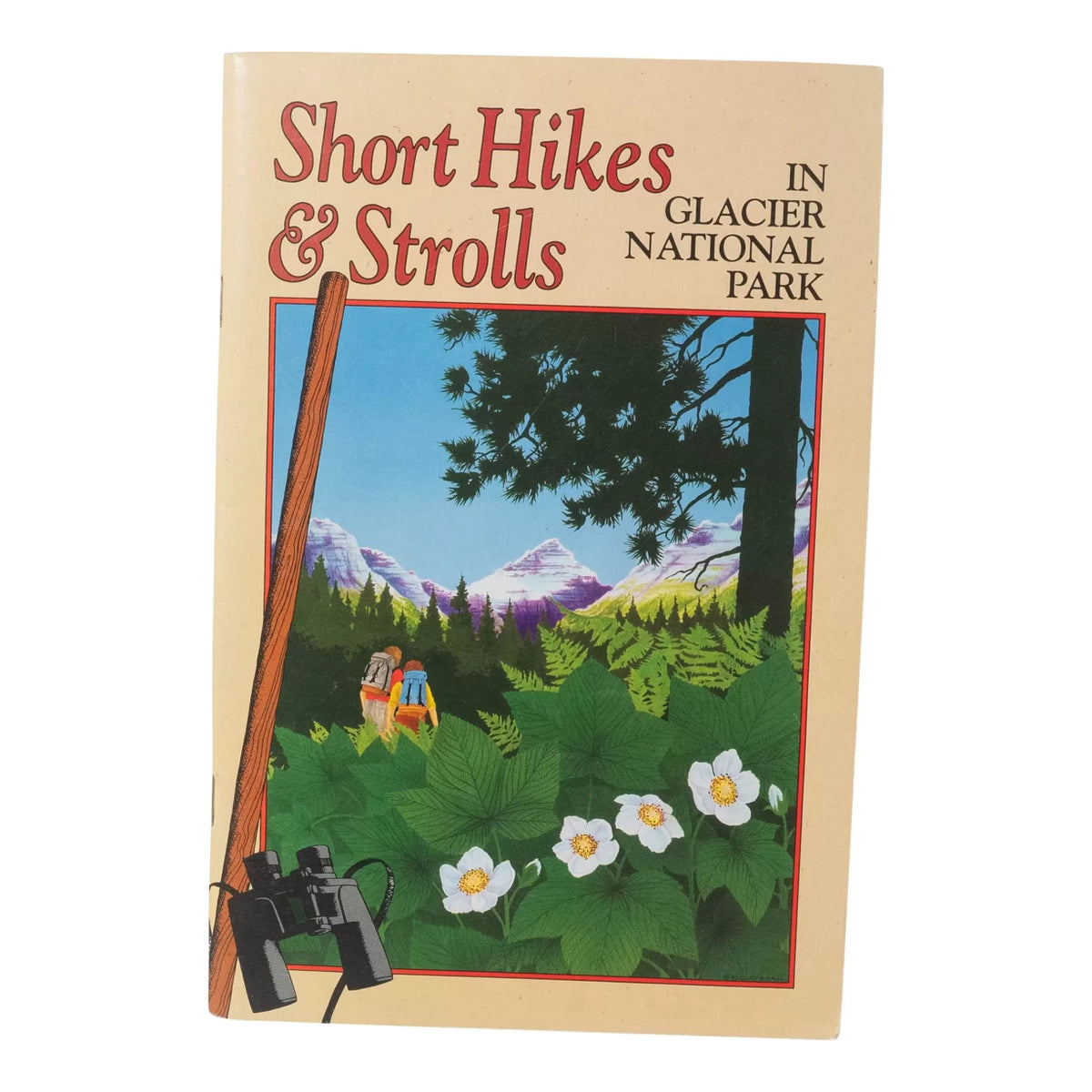 Short Hikes and Strolls in Glacier National Park – Geartrade.com