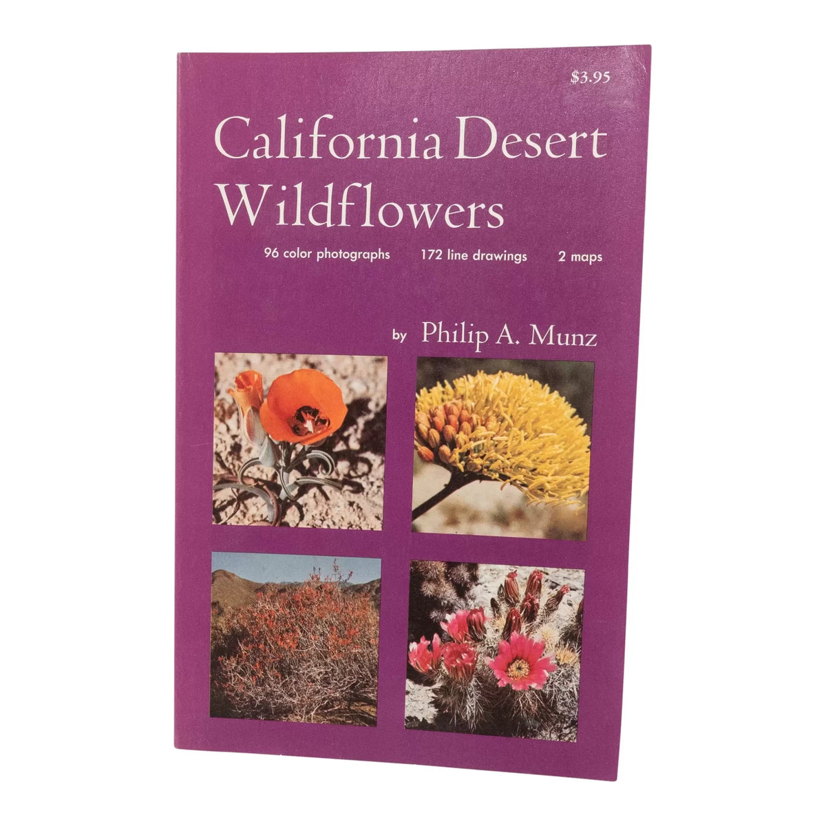 California Desert Wildflowers by Philip A. Munz – Geartrade.com